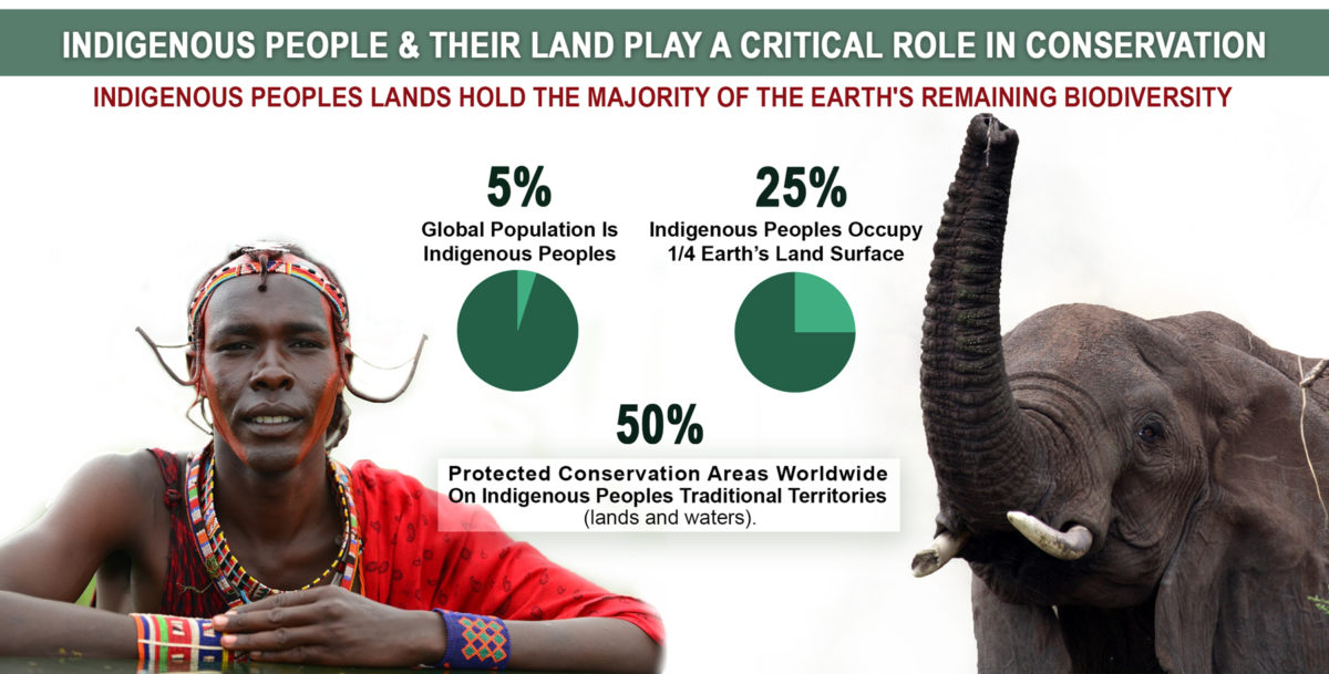 Conservation and the Rights of Indigenous Peoples : UN Expert Meeting ...