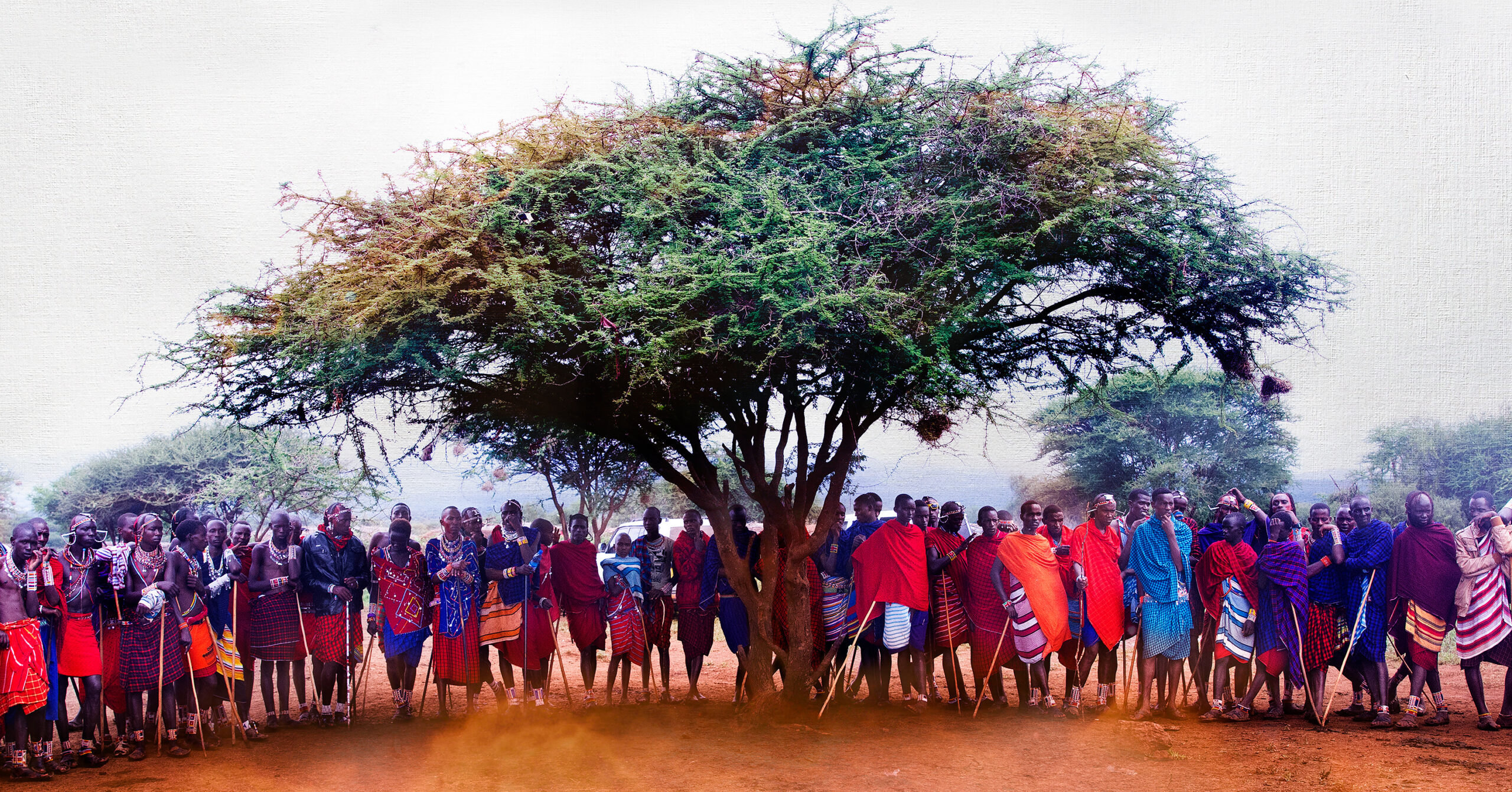Maasai Plant Trees & Hope – My Chosen Vessels